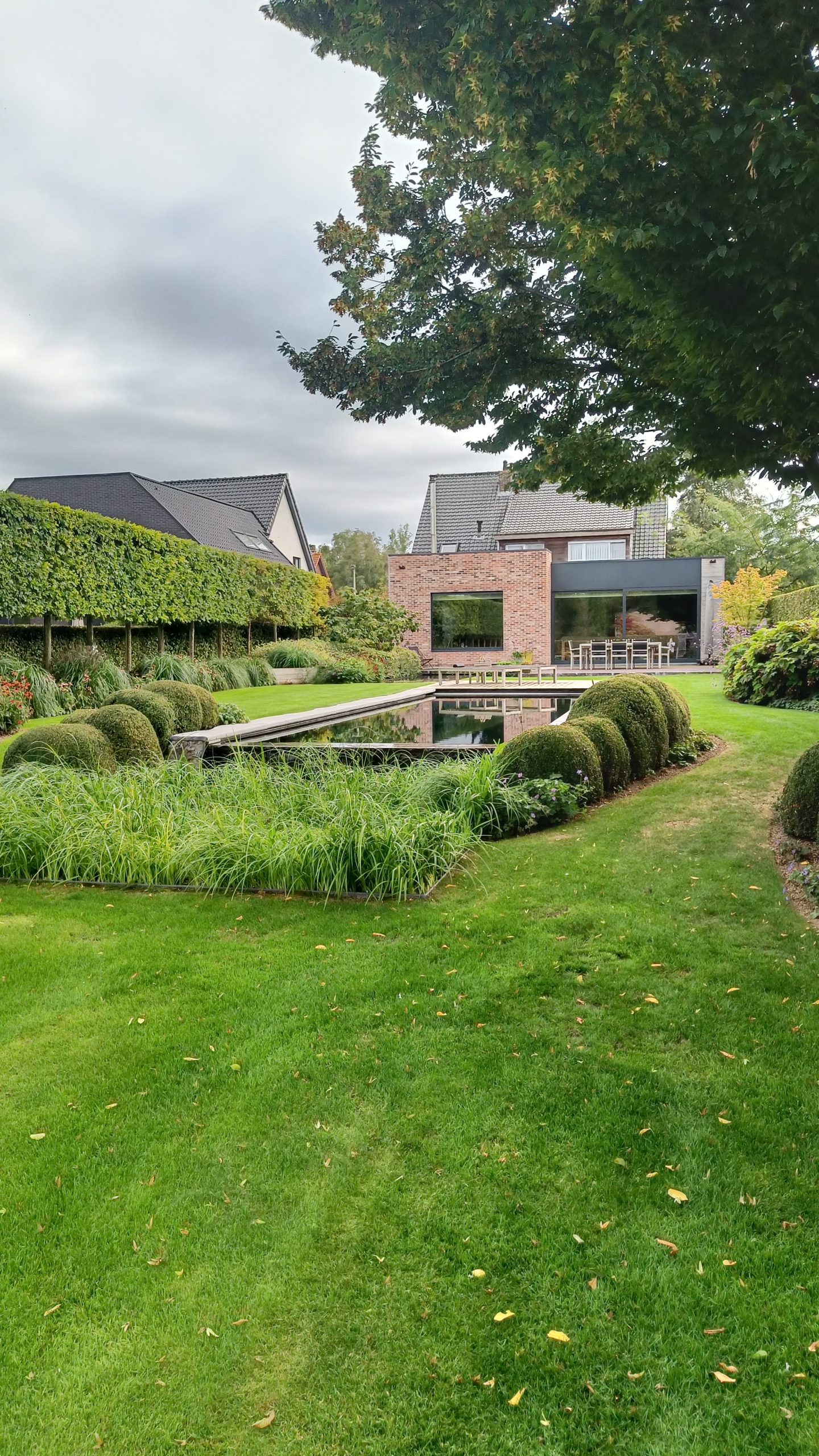 IOB Congress 2023 - Polyplan